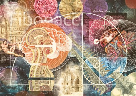 Código Fibonacci Mangamecanica