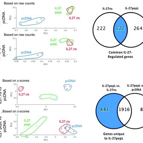 Different Global Gene Expression Analyses Following Rna Sequencing Download Scientific Diagram
