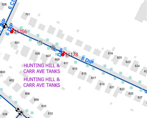 only some features labeling r arcgis