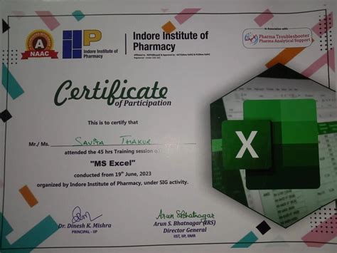 Savita Thakur On Linkedin Excelproficiency Dataanalysis Msexcel