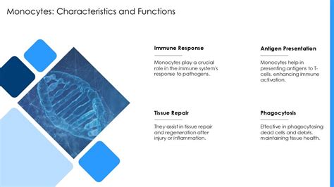 Monocytes Characteristics And Functions Agranulocytes Ppt Structure Acp Ppt Sample