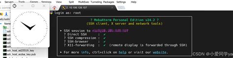 mobaxterm中x11 forwarding无法使用的解决办法（docker容器内） x11forwarding不能连接 csdn博客