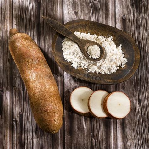 Manihot Esculenta Raw Cassava Root Starch Stock Image Image Of Yuca