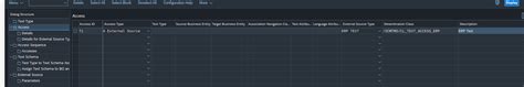 Text Determination Insights For Propagation From E SAP Community