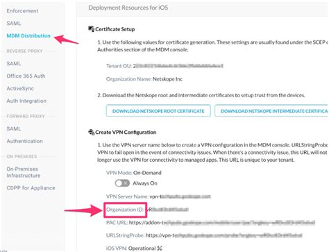 deploy client on ios using intune netskope knowledge portal