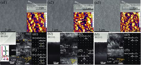Surface And Cross Sectional Fe Sem And Afm Patterns Of A Bf A Download Scientific
