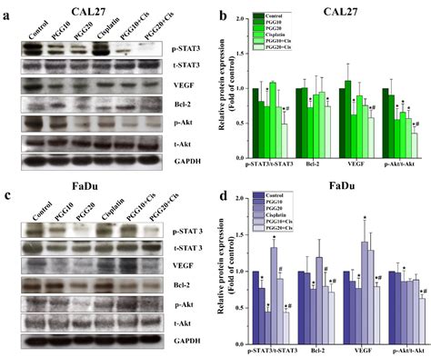 Pentagalloyl Glucose And Cisplatin Combination Treatment Exhibits A Synergistic Anticancer