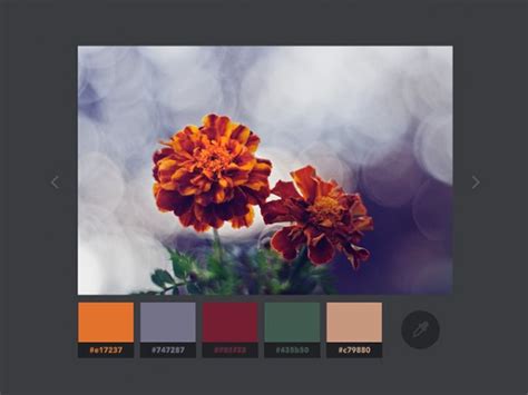 Color Extraction Effect With Vibrantjs Freebiesbug
