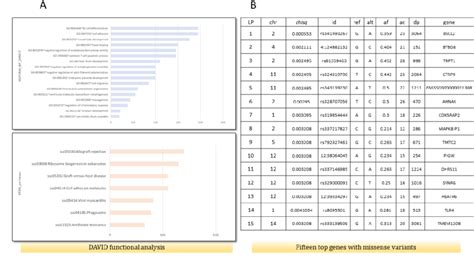 functional analysis for genes containing missense variants ms and