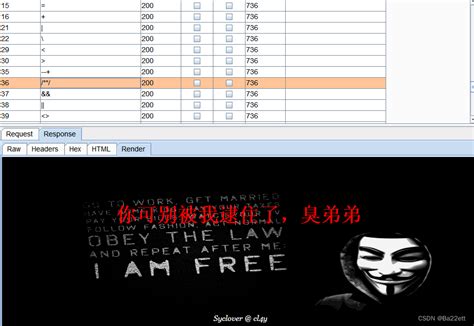 极客大挑战 2019 Hardsql Csdn博客