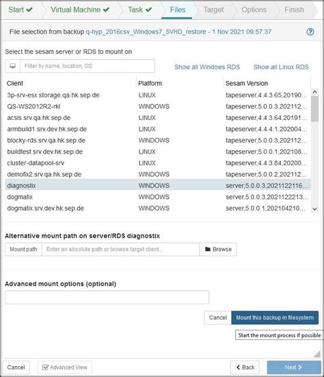 Source Hyper V Restore Sepsesam