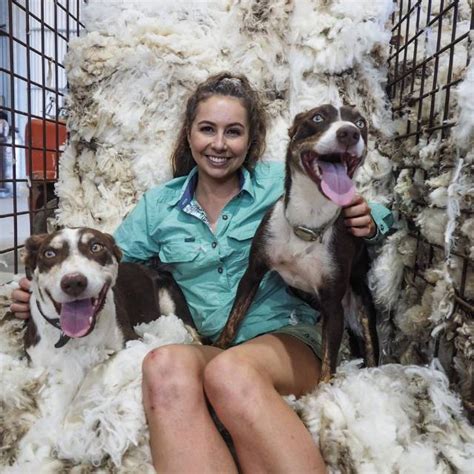 About Us Vetlink Employment Service About Us Vetlink Employment Service