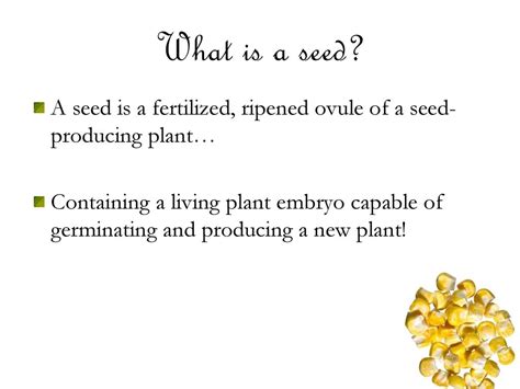 Growing Seeds One Of Lifes Little Wonders Ppt Download