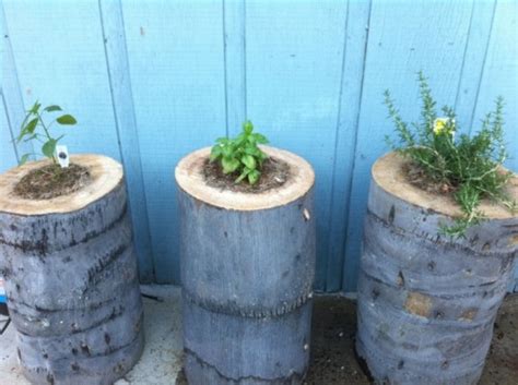 DIY Tree Stump Planters Shelterness