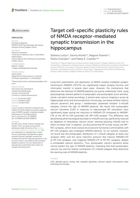 Pdf Target Cell Specific Plasticity Rules Of Nmda Receptor Mediated Synaptic Transmission In