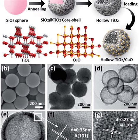 A Schematic To Demonstrate The Differences Between The Sio 2 Tio 2 Download Scientific