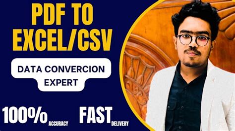 convert pdf to excel scan to excel and data entry expert by m junaid