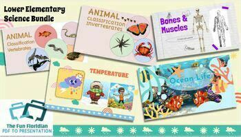 Elementary Science Class Google Slides Presentations BIG Bundle TPT