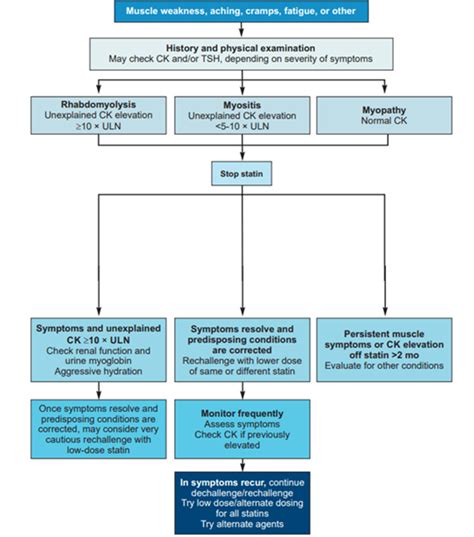 Adverse Effects During Statin Therapy Clinical Guidance