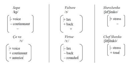 Distinctive Features Analysis Download Scientific Diagram