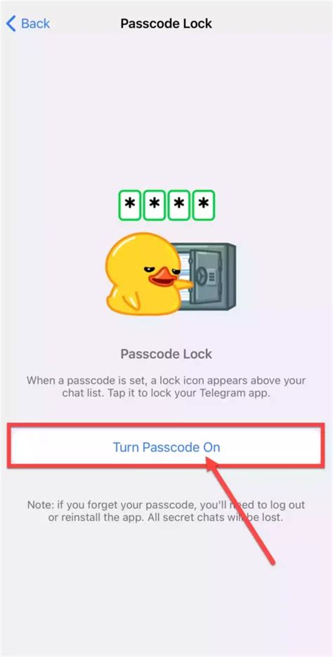 How To Lock Telegram With Face Id Or A Passcode On Iphone 14 13 12 And Etc Techschumz