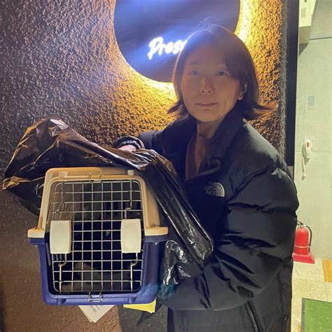 네코스토리 서울 본점 강아지 고양이 유기묘 유기견 길 고양이 아깽이 댕냥이 무료 분양 입양 보호 위탁 허위 X 네코스토리에서는 24 11 01 이후로 책임 비용을