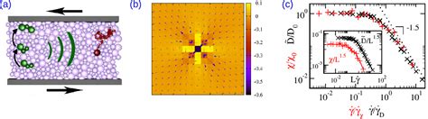 Figure 11 From Deformation And Flow Of Amorphous Solids Insights From