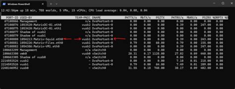 How To Determine Which Uplink Physical NIC A Virtual Machine Is Using Finally To Send Uplink