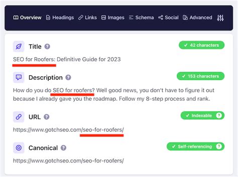 Detailed Seo Extension Review Why I Use It Daily