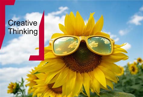 Barangaroo Consulting Insight Led Innovation On Linkedin Creativeproblemsolving Innovation