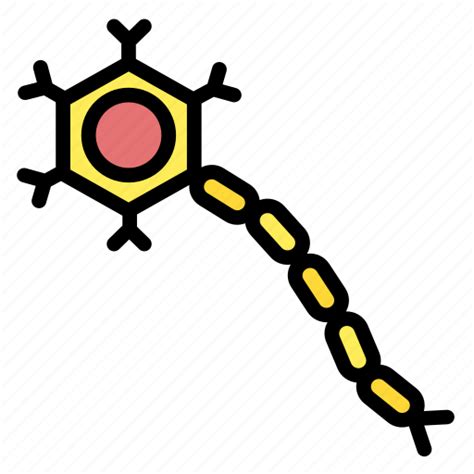 Neuron Icon Download On Iconfinder On Iconfinder