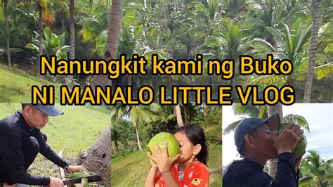 Nanungkit kami ng #buko ni @cassandramariemanalo1362 / #buhayprobinsya ...