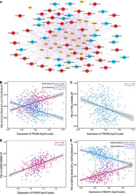 Correlation Analysis Between Splicing Factors And As Events In Lusc