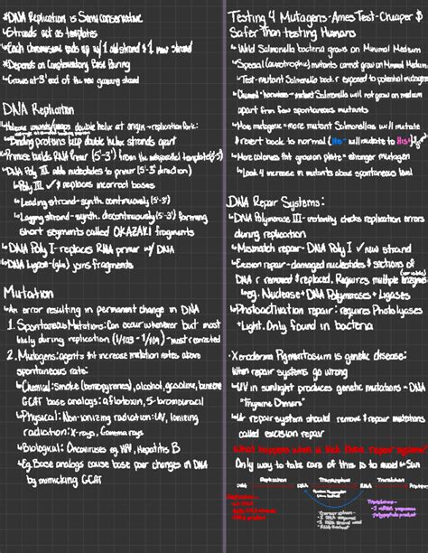 Ch 9 Pt 2 Microbial Genetics Deprecated Api Usage The Svg Back End Is No Longer Maintained