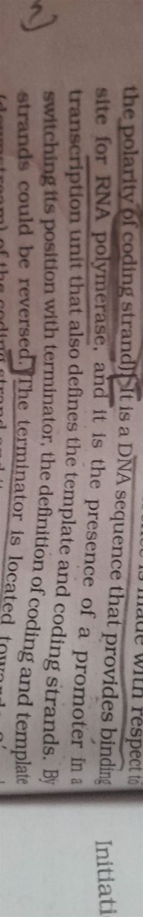 The Polarity Of Coding Strand It Is A Dna Sequence That Provides Binding