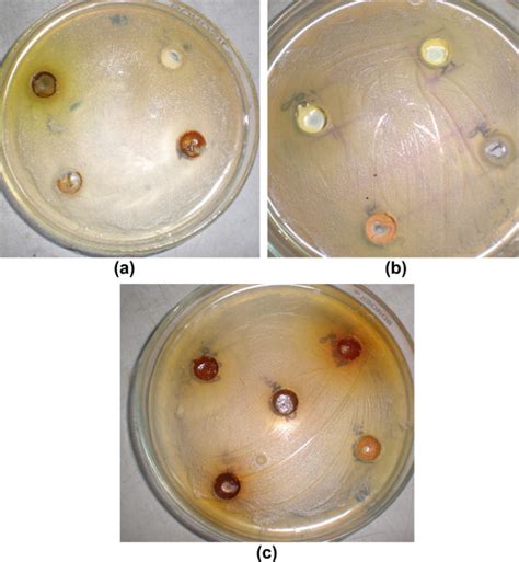 Antibacterial Activities Of A Staphylococcus Aureus B Bacillus
