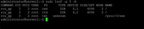 Linux Lsof Command Tutorial For Beginners Examples