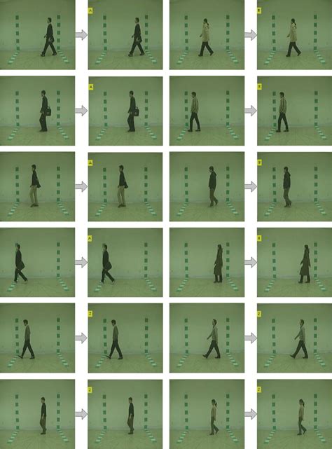Visual Representation Of The Proposed Method For Human Gait Download Scientific Diagram