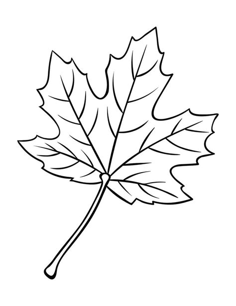 用树叶做秋天的简笔画幼儿园简单（共11张）简笔画图片大全