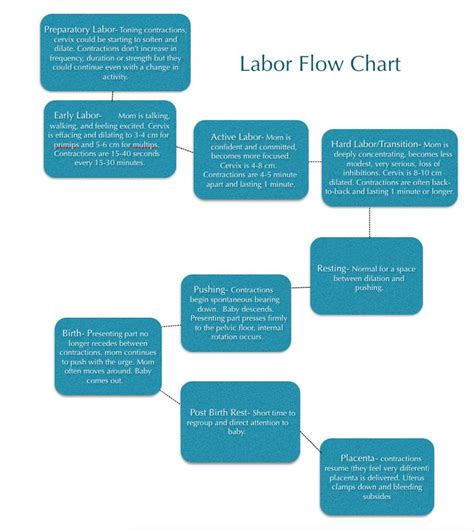 Labor Flow Chart