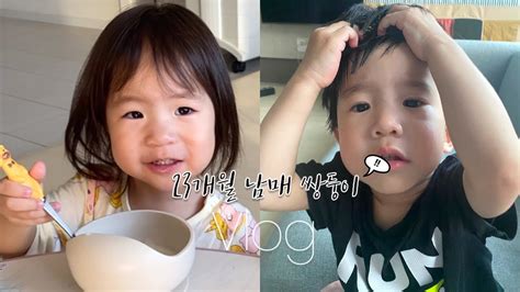 육아 브이로그 둥이네 1년 만에 집 팔았다 23개월 남매 쌍둥이와 복직 3개월 워킹맘의 일상 Youtube