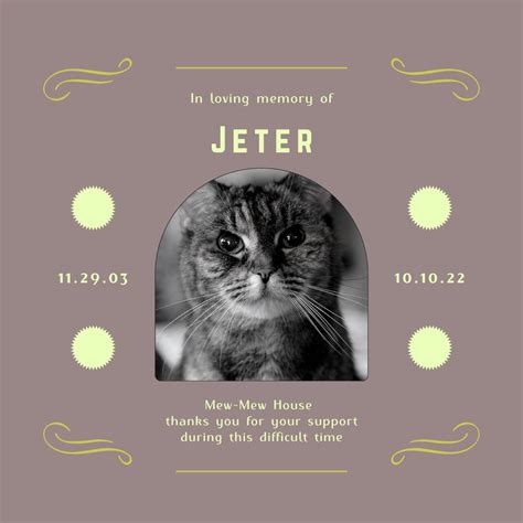 Penny Higgins Phd On Linkedin In Loving Memory Of Jeter Shes Now Reunited With Her Meowmie