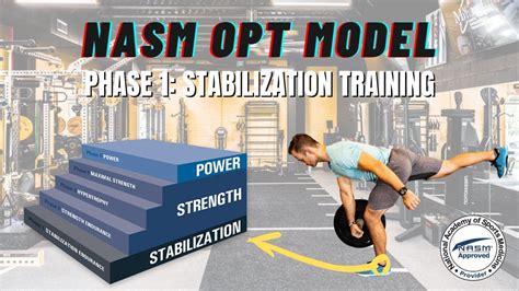 Nasm Opt Workout Template EOUA Blog