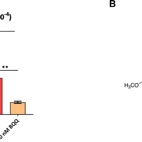 Proposed Model For GAATTC Large Scale Expansions A The GAA Download Scientific