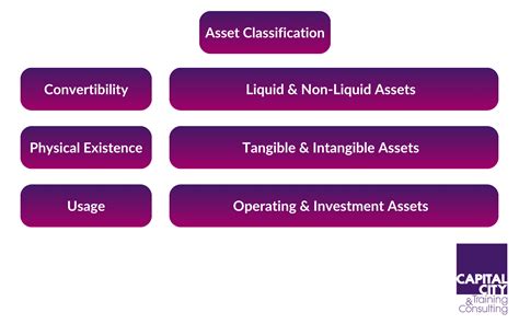 Types Of Assets In Finance Capital City Training Ltd