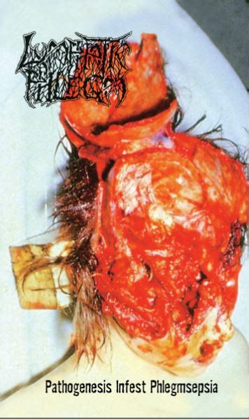 Lymphatic Phlegm Pathogenesis Infest Phlegmsepsia Reviews Encyclopaedia Metallum The