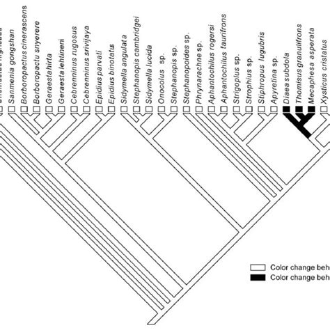 Parsimony Reconstruction Of The Evolution Of Color Change Behavior In Download Scientific