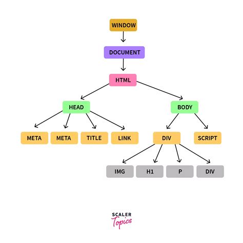 Tree Data Structure Scaler Topics