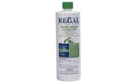 Pool360 1 Qt Super Green Algaecide