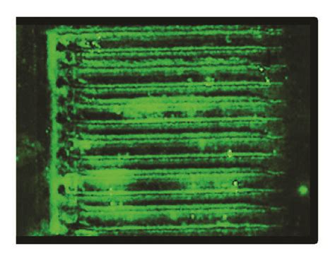 Pva Film Doped With Nanoparticles Made Of The Poly3 Ht Co Edot